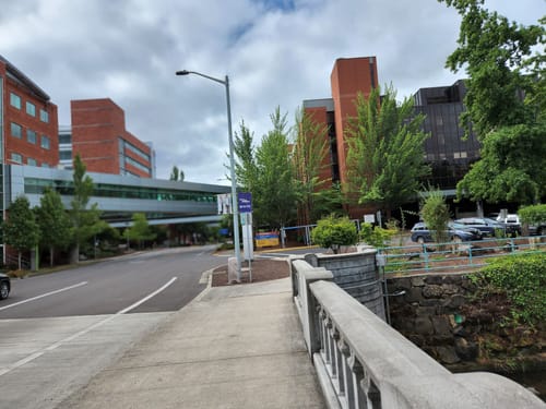 Best Hikes and Trails in Pringle Park | AllTrails