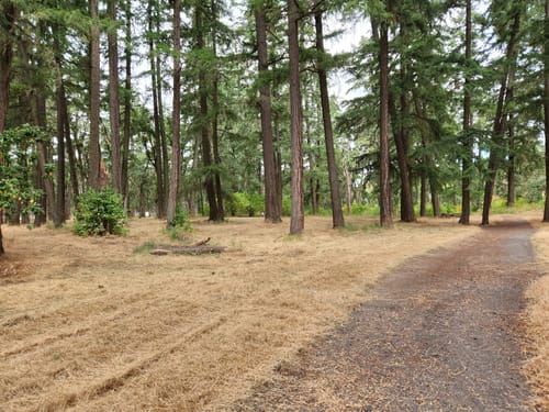 Best Hikes and Trails in Pringle Park | AllTrails