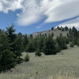 Big Butte Loop, Montana - 223 Reviews, Map | AllTrails