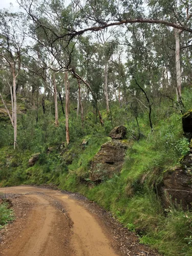 10 Best Hikes and Trails in Yengo National Park | AllTrails