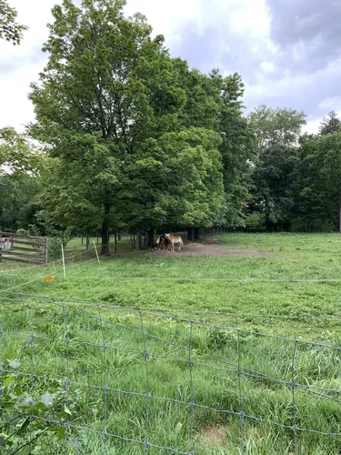 Best Hikes and Trails in Gilfillan Park | AllTrails