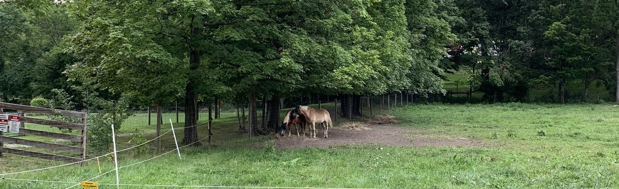 Gilfillan Park Loop, Pennsylvania - 142 Reviews, Map | AllTrails