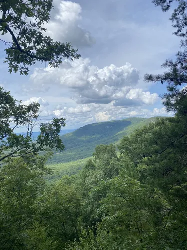 2023 Best 10 Trails and Hikes in Alabama | AllTrails