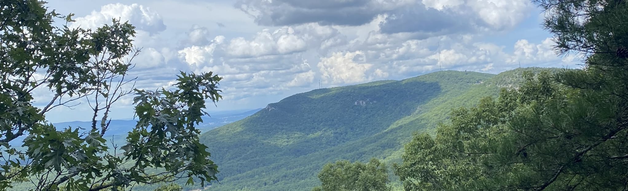 Cave Creek Trail from Cheaha Trailhead: 1338 Reviews, Map - Alabama ...