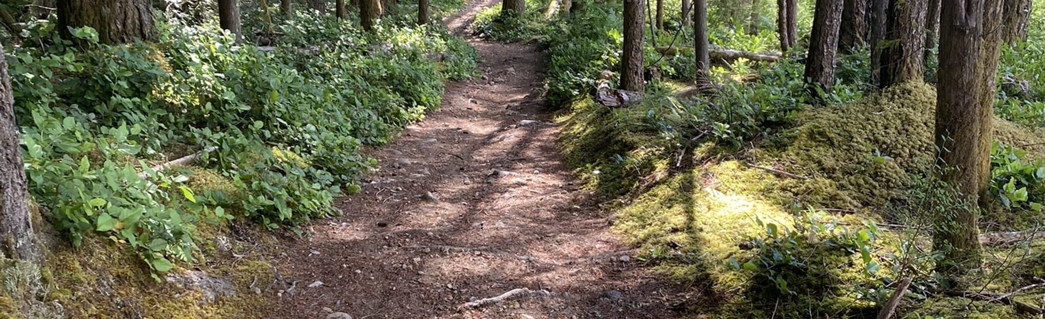 Seven and Pumpkin Patch Loop, British Columbia, Canada - Map, Guide ...