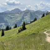 Washington Gulch Trail, Colorado - 389 Reviews, Map | AllTrails
