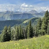 Washington Gulch Trail, Colorado - 389 Reviews, Map | AllTrails