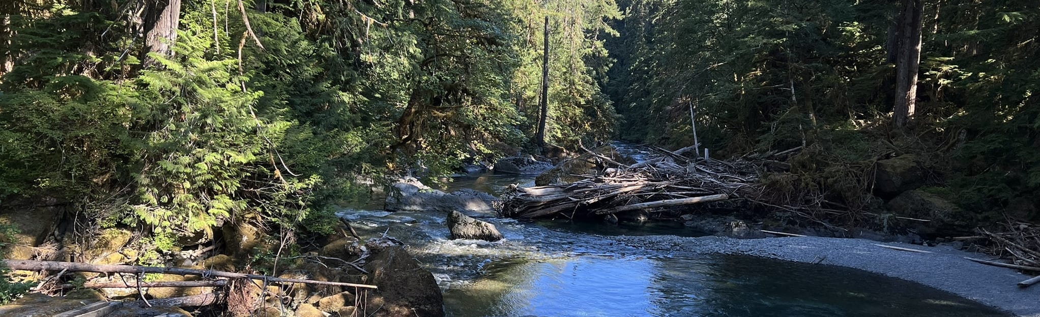 Black and White Lakes Primitive Trail: 58 Reviews, Map - Washington ...