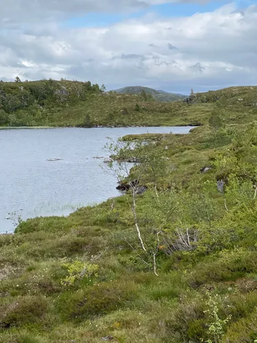 10 Best Trails and Hikes in Ålesund | AllTrails