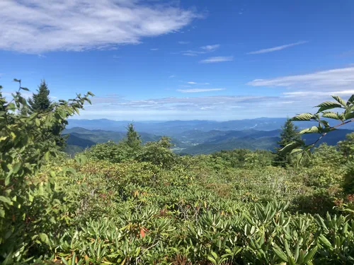 10 Best Trails and Hikes in Black Mountain | AllTrails