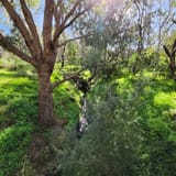 Westerfolds Park Circuit, Victoria, Australia - 393 Reviews, Map ...