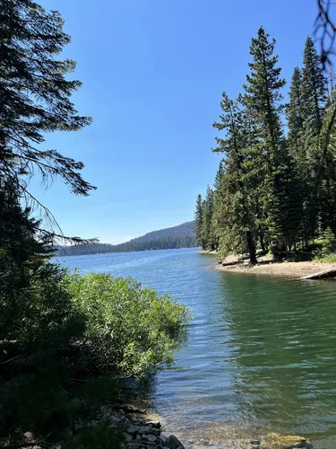 Best Hikes and Trails in Bucks Lake Wilderness | AllTrails