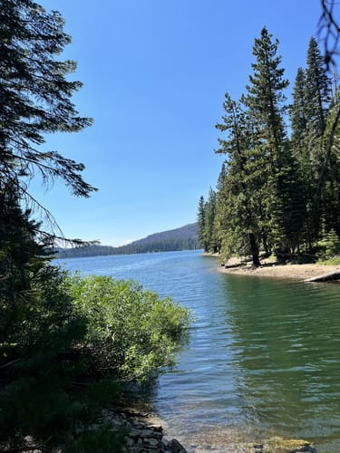 Best Hikes and Trails in Bucks Lake Wilderness | AllTrails