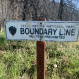 Bacon Rind Creek Trail, Montana - 87 Reviews, Map | AllTrails