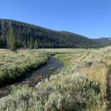 Bacon Rind Creek Trail, Montana - 87 Reviews, Map | AllTrails