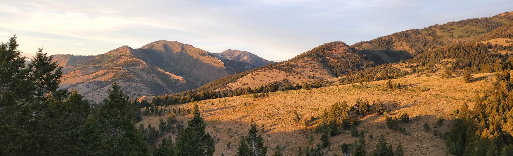 Wikiup Knoll Loop, Wyoming - 12 Reviews, Map | AllTrails