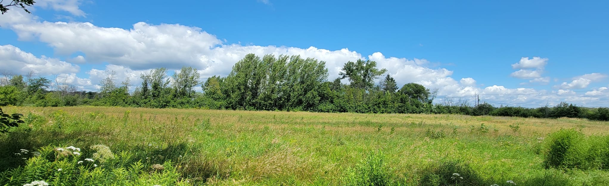 Boucle Cap Saint-Jacques | Map, Guide - Quebec, Canada | AllTrails