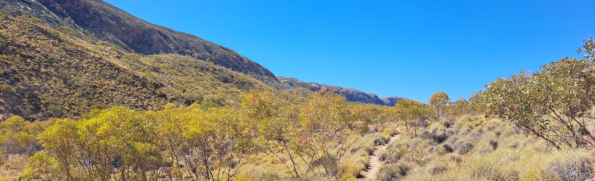 Larapinta Trail: Section 6 Hugh Gorge to Ellery Creek: 24 Reviews, Map ...