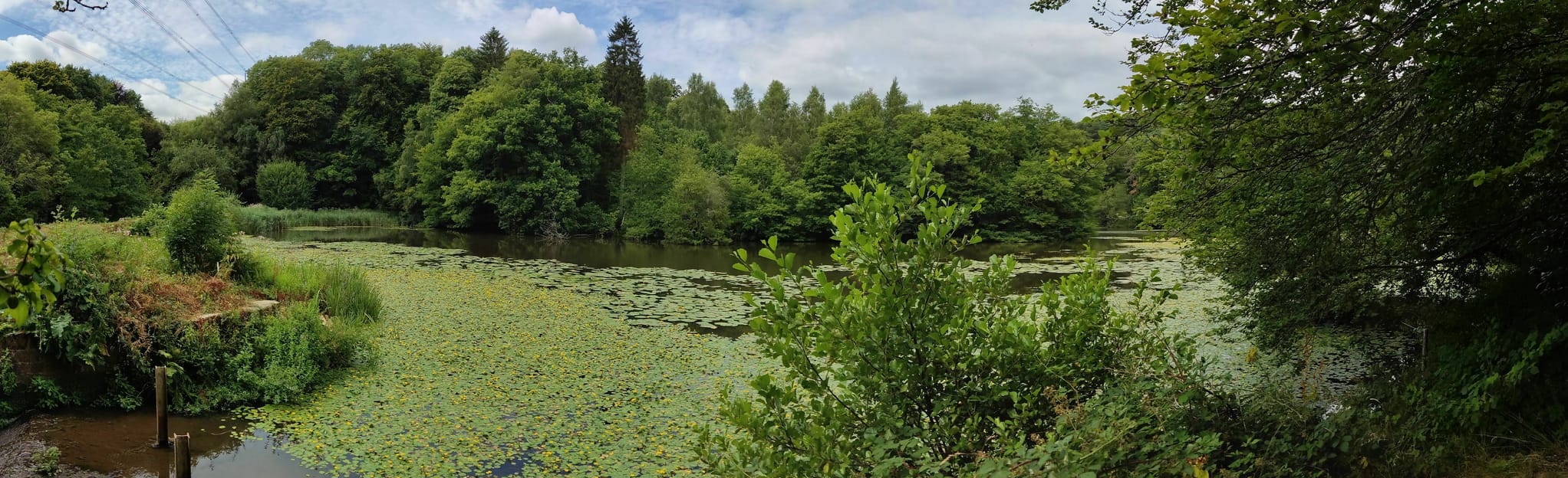 Iping Common and Hammer Wood Circular: 14 Reviews, Map - West Sussex ...