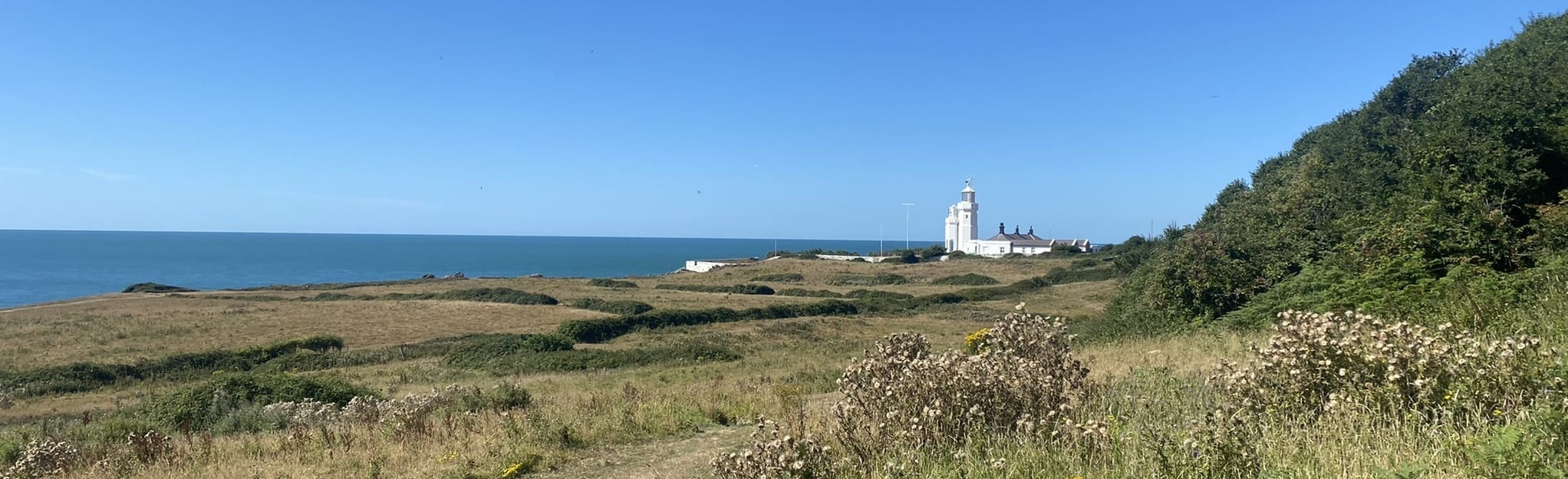 Niton Coast Circular: 32 Fotos - Isle of Wight, England | AllTrails