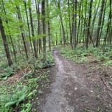 Stevens Glen Trail, Massachusetts - 333 Reviews, Map | AllTrails