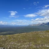 Kesugi Ridge (Curry Ridge) Trail, Alaska - 227 Reviews, Map | AllTrails