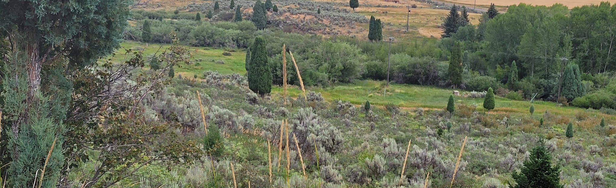 Hooper Springs Loop: 8 Reviews, Map - Idaho | AllTrails