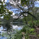 Temple Terrace Riverfront Park Trail, Florida - 35 Reviews, Map | AllTrails