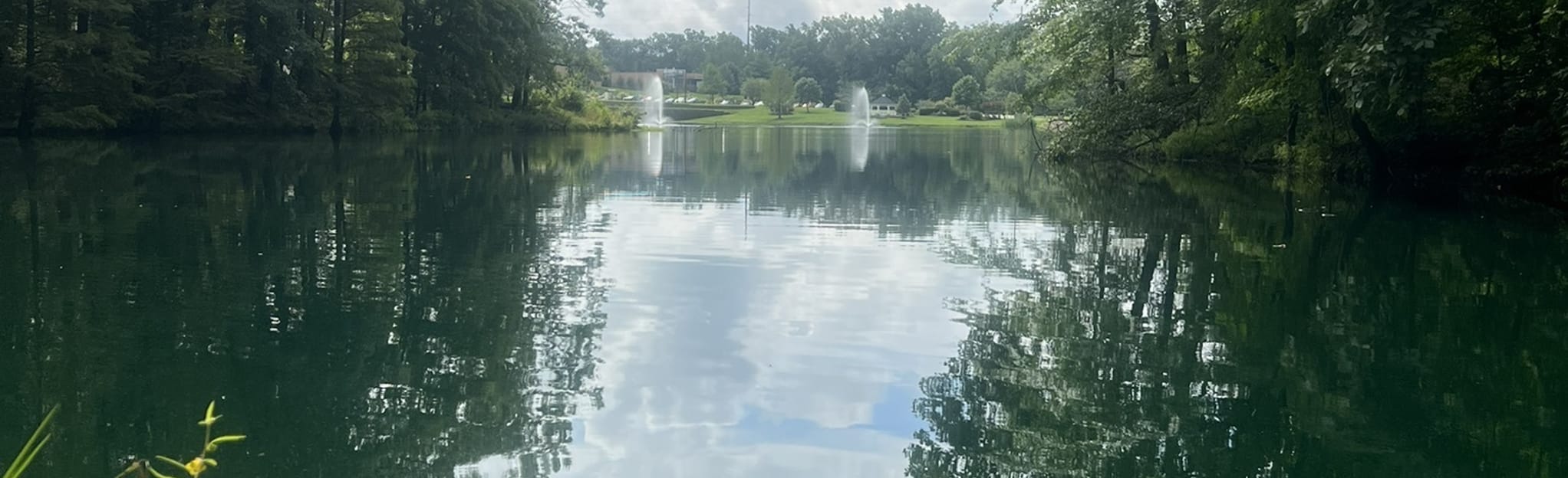 USI Trail Loop, Indiana - 114 Reviews, Map | AllTrails