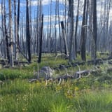 Broken Top Loop, Oregon - 265 Reviews, Map | AllTrails