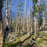 Broken Top Loop, Oregon - 261 Reviews, Map | AllTrails