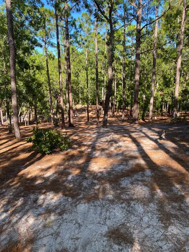 Best Hikes and Trails in Arrowhead Park | AllTrails