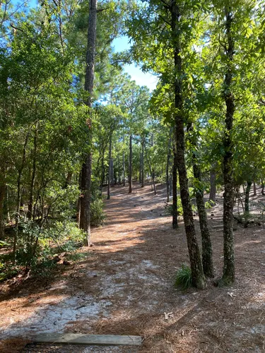Best Hikes and Trails in Arrowhead Park | AllTrails