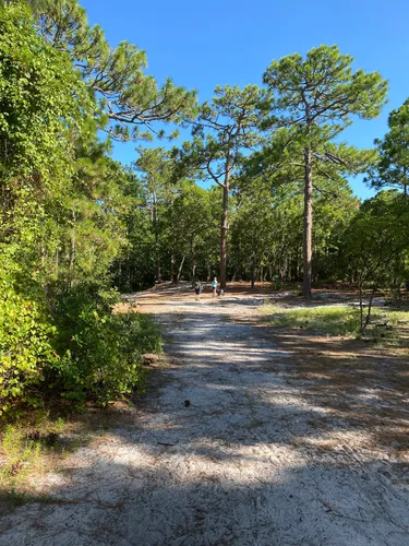 Best Hikes and Trails in Arrowhead Park | AllTrails
