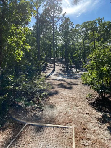 Best Hikes and Trails in Arrowhead Park | AllTrails