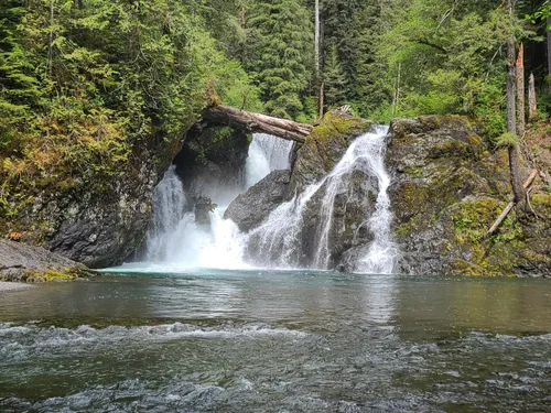 10 Best Trails and Hikes in Montesano | AllTrails