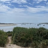 Parson's Way, Maine - 348 Reviews, Map | AllTrails