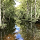 Loop Road Scenic Drive (County Road 94), Florida - 145 Reviews, Map ...