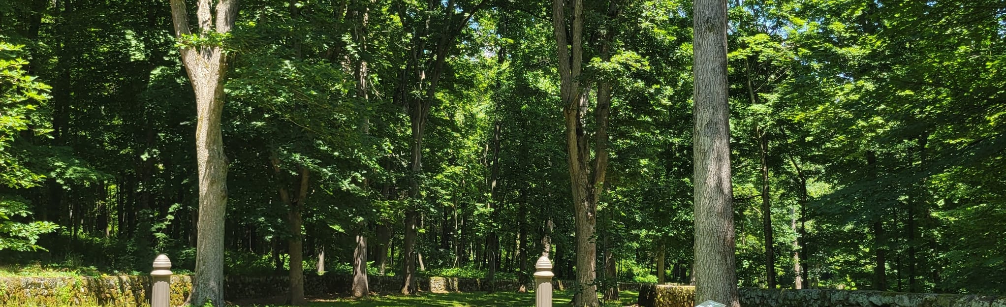 Long Hill Estate Perimeter Trail: 86 Reviews, Map - Connecticut | AllTrails