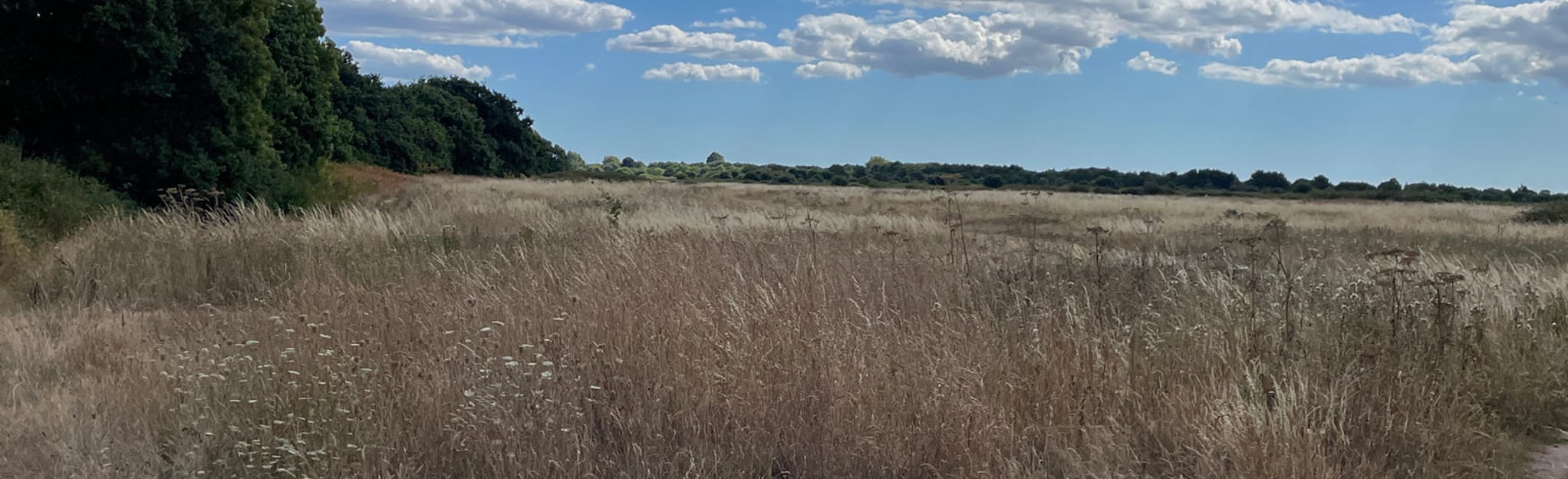 Old Hamble Airfield Circular, Hampshire, England - 14 Reviews, Map ...