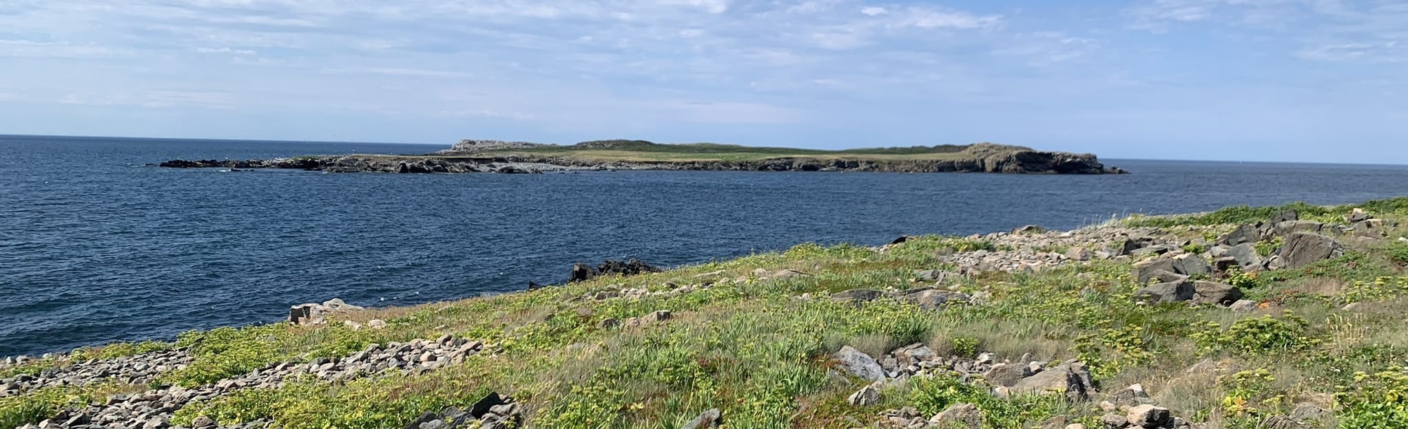 Cape Shore Trail: 76 Reviews, Map - Newfoundland and Labrador, Canada ...