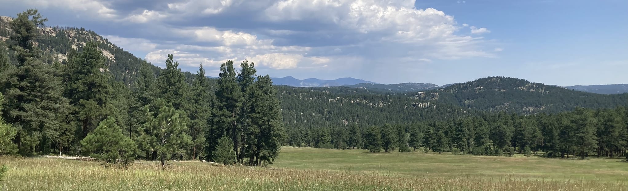 Three Sisters Trail to Ponderosa Trail Loop: 651 Reviews, Map ...