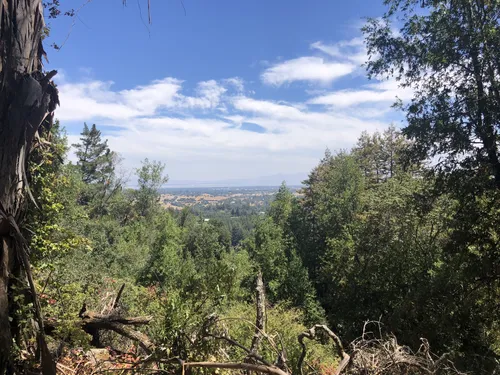 10 Best Hikes and Trails in Wunderlich County Park | AllTrails