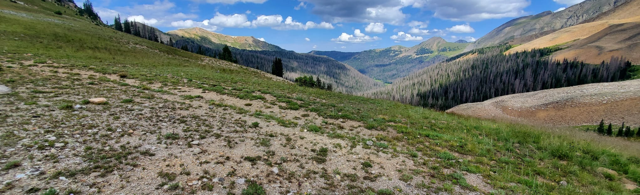 Michigan River Trail to Baker Pass: 2 Reviews, Map - Colorado | AllTrails