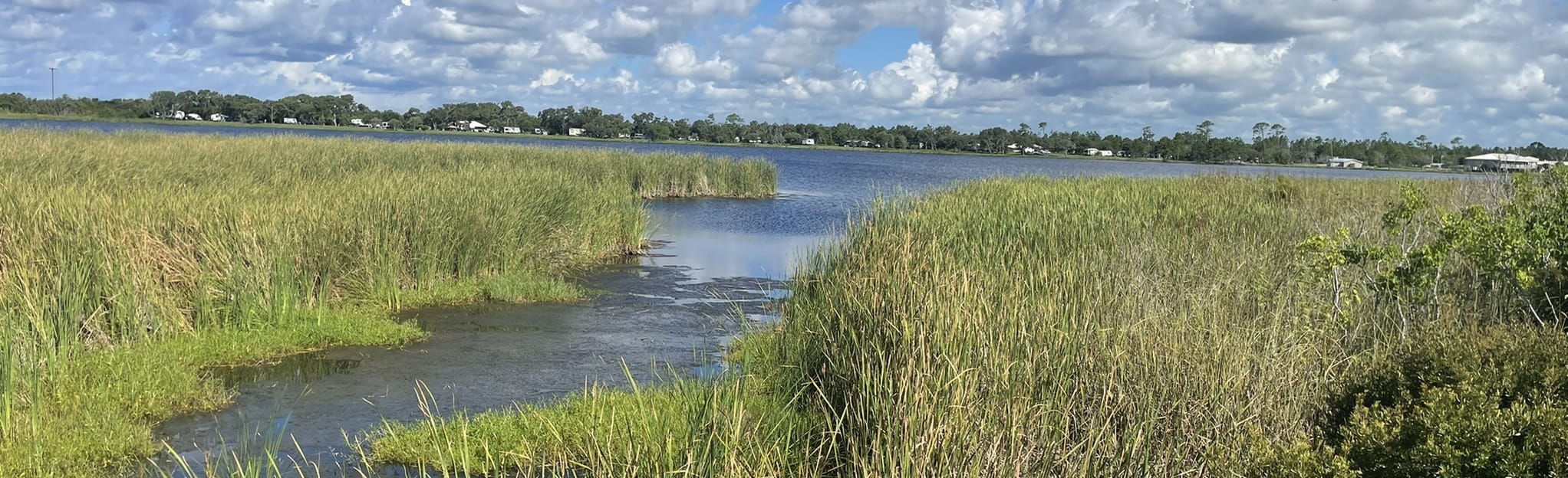 Beach Mouse Bypass - Alabama | AllTrails