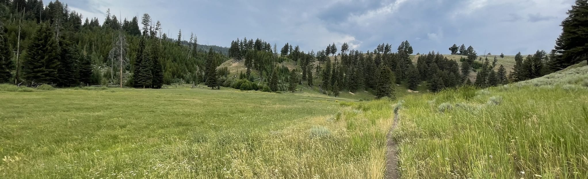 Lost Lake Trail: 96 Reviews, Map - Montana | AllTrails