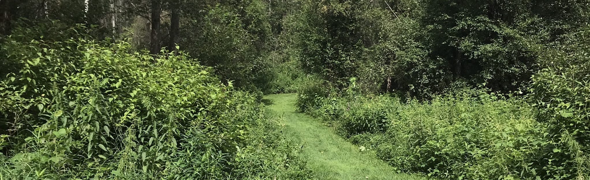 Hasse Lake: 74 Reviews, Map - Alberta, Canada | AllTrails