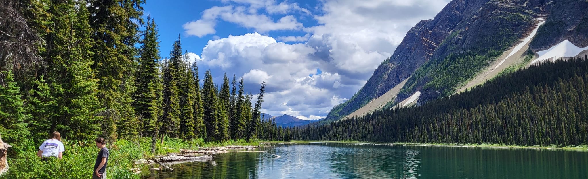 Boom Lake Trail: 1737 Reviews, Map - Alberta, Canada | AllTrails