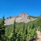 Three Fingered Jack Loop, Oregon - 244 Reviews, Map | AllTrails