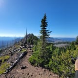 Three Fingered Jack Loop, Oregon - 244 Reviews, Map | AllTrails